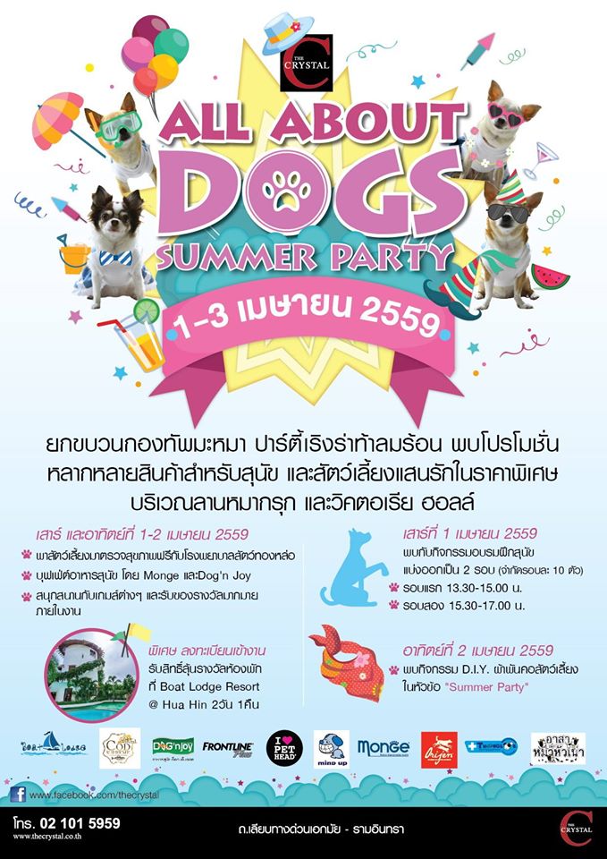 All about Dog Summer Party